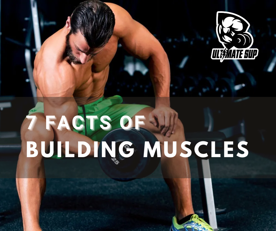 Building Muscle - 7 Facts You Should Know – Ultimate Sup