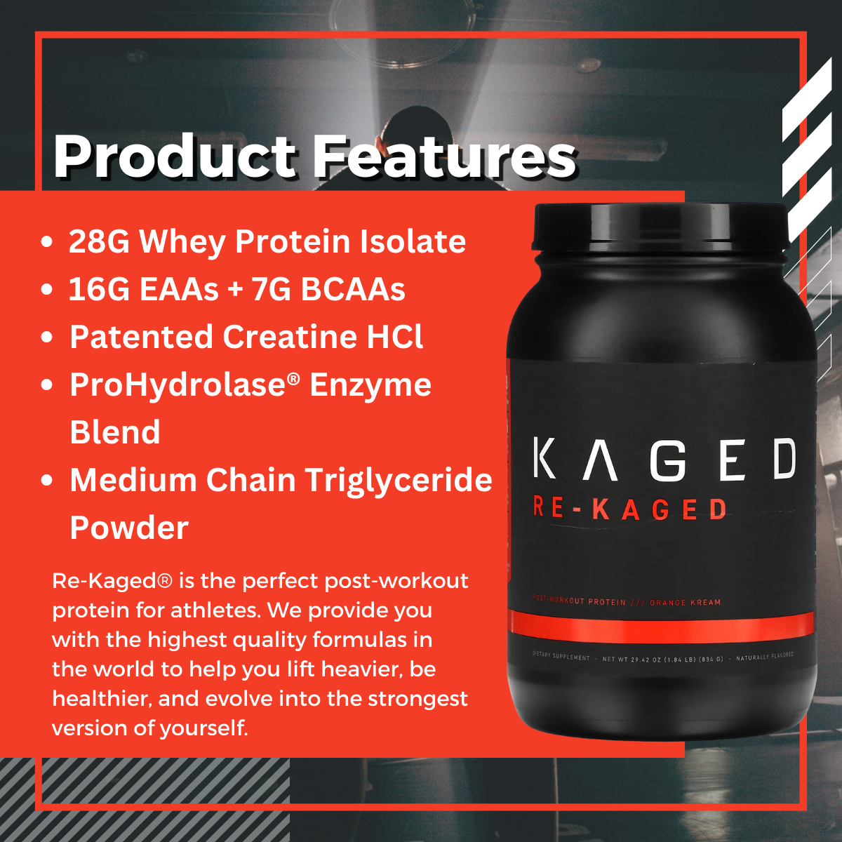 Kaged Muscle Re-Kaged Premium Whey Protein 2lbs – Ultimate Sup